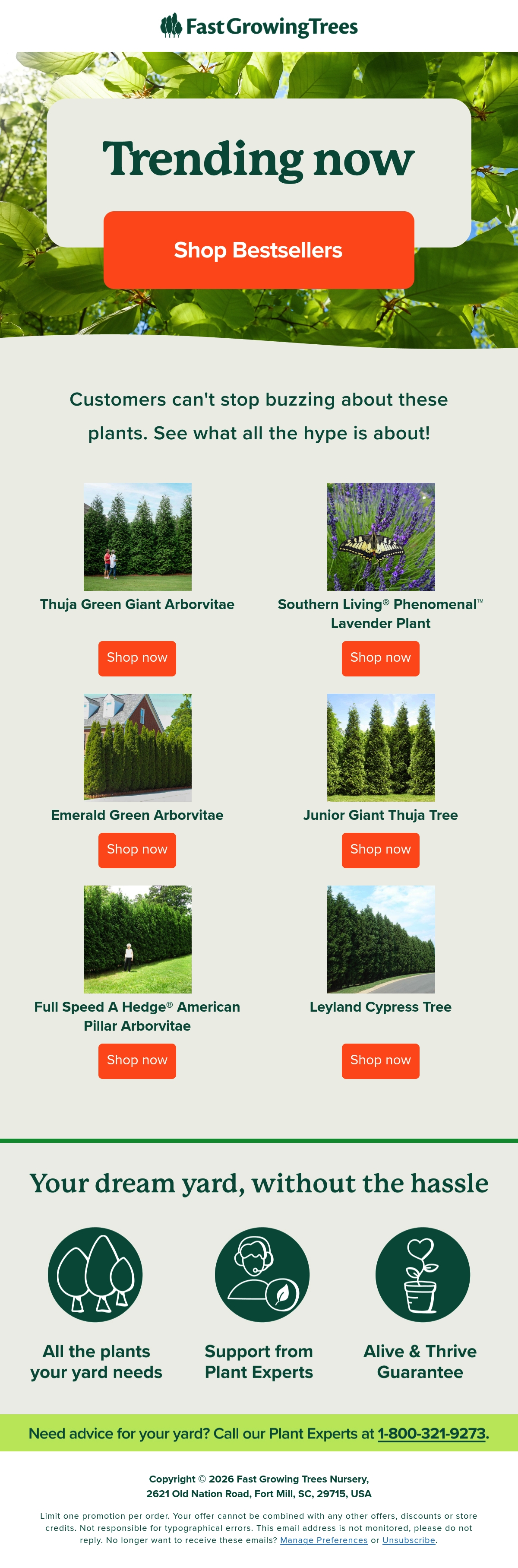 Email Inspiration from Fast-Growing-Trees.com - Email Love
