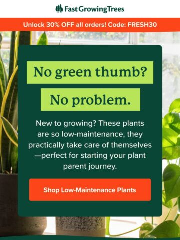 Email Inspiration from Fast-Growing-Trees.com - Email Love