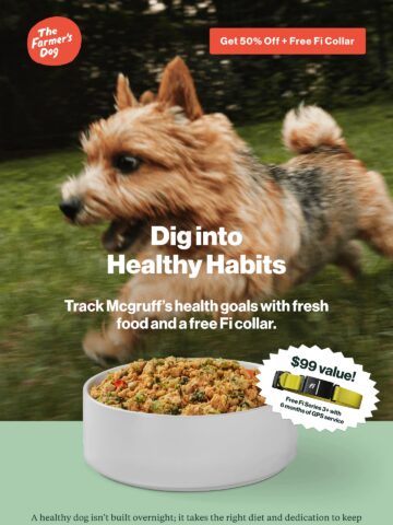 Email Inspiration from The Farmer’s Dog - Email Love