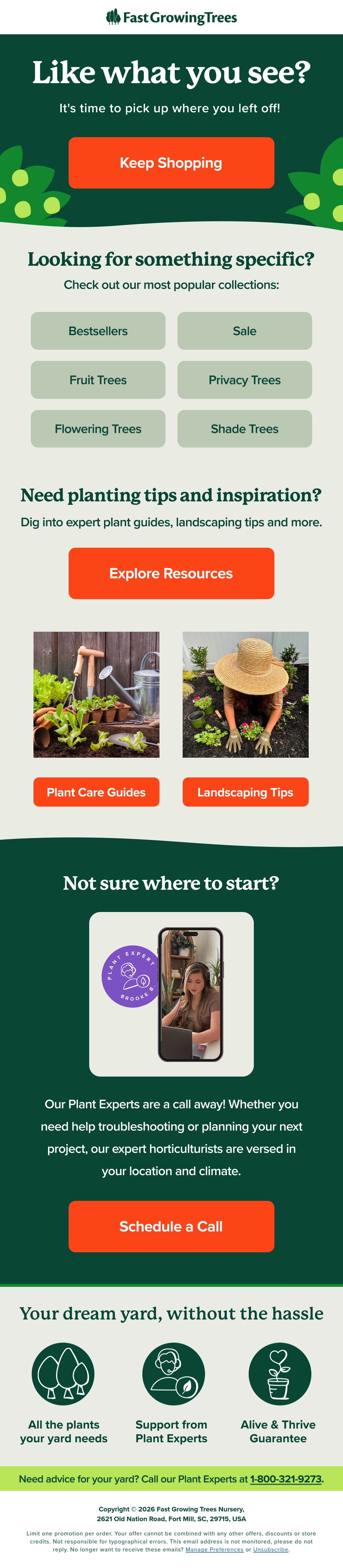 Email Inspiration from Fast-Growing-Trees.com - Email Love